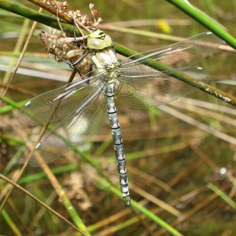 News - Hoffmann Mineral - Funktionelle Füllstoffe
